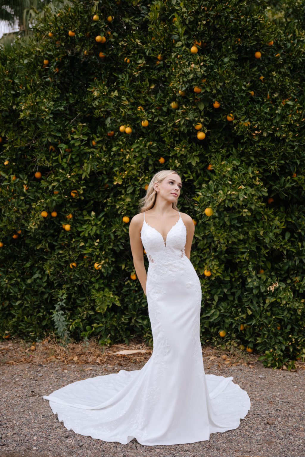 Wedding Dresses - Brides by Donna Rae